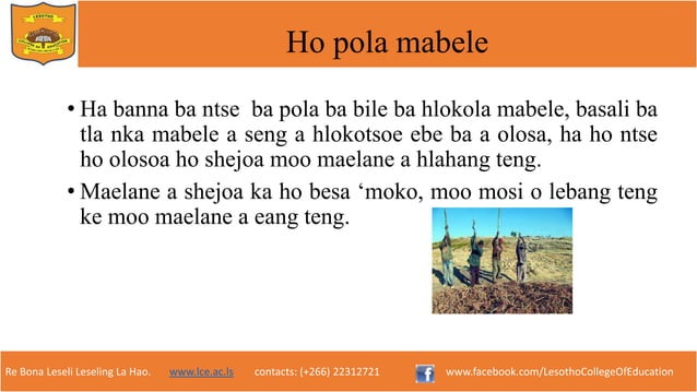 Project for marumo | PPT