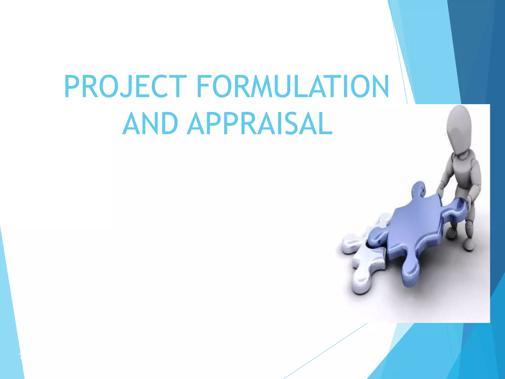 projectformulationandappraisal.pptx | Business Accounting & Finance | Business