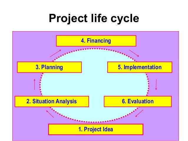 Project formulation and management