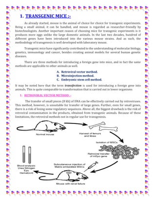 Project genetical modified organisms. By subhrajyoti sahoo | PDF