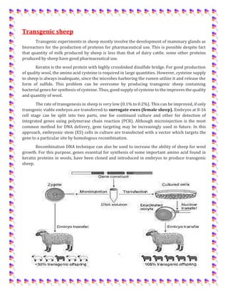 Project genetical modified organisms. By subhrajyoti sahoo | PDF
