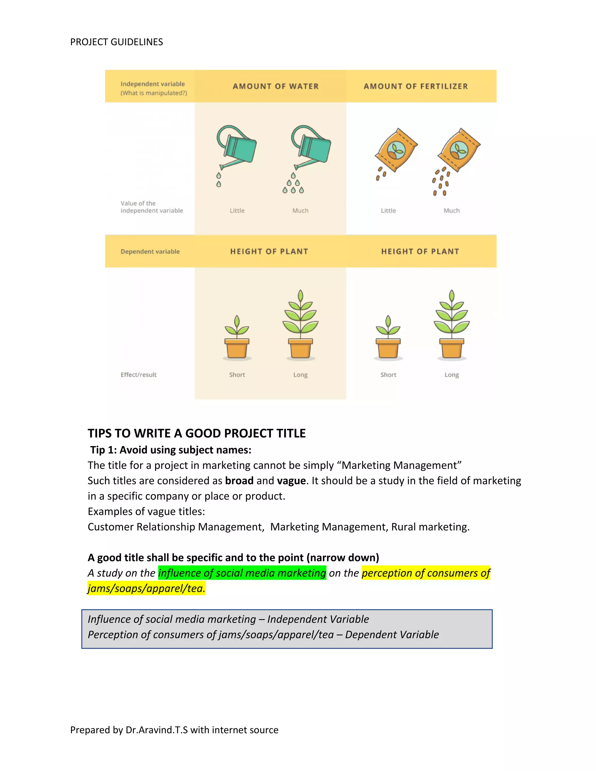 MBA Project Step by Step Guide | PDF