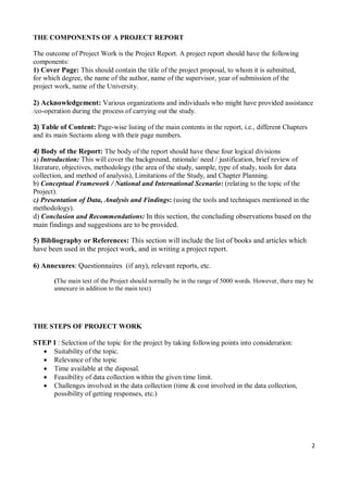 Project Guidelines.pdf