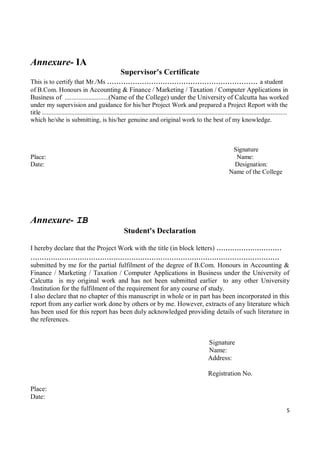 Project Guidelines.pdf