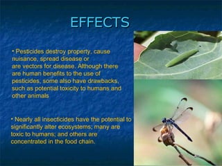 Insecticides and pesticides control | PPT