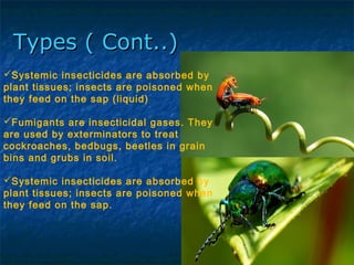 Insecticides and pesticides control | PPT