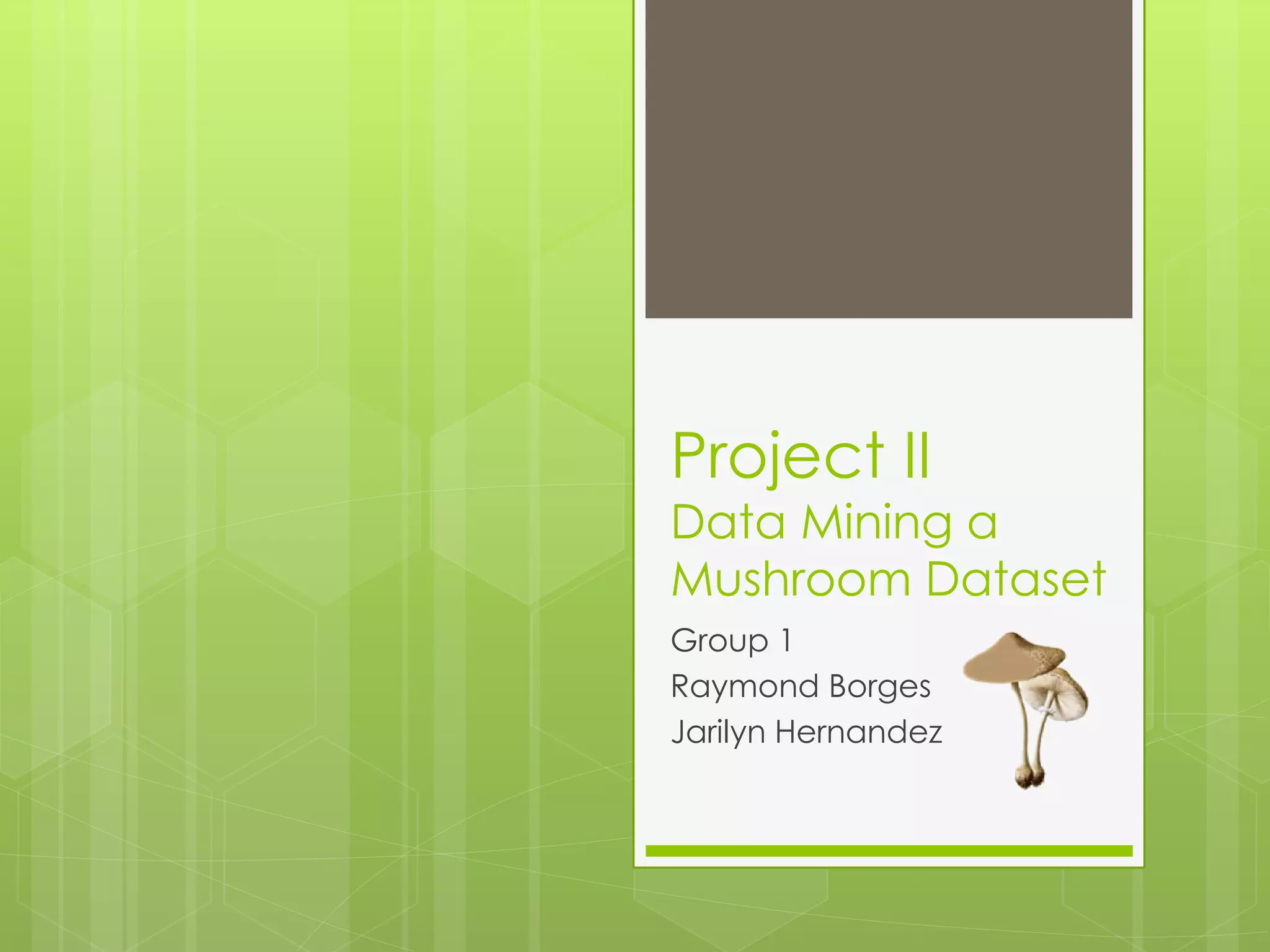 Project 2 Data Mining Part 1 Ppt