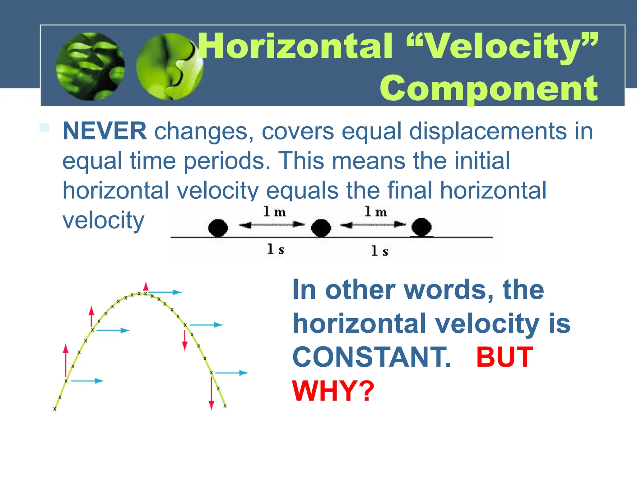 Projectile Motion Grade 9 Science - Physics 4th Quarter | PPTX