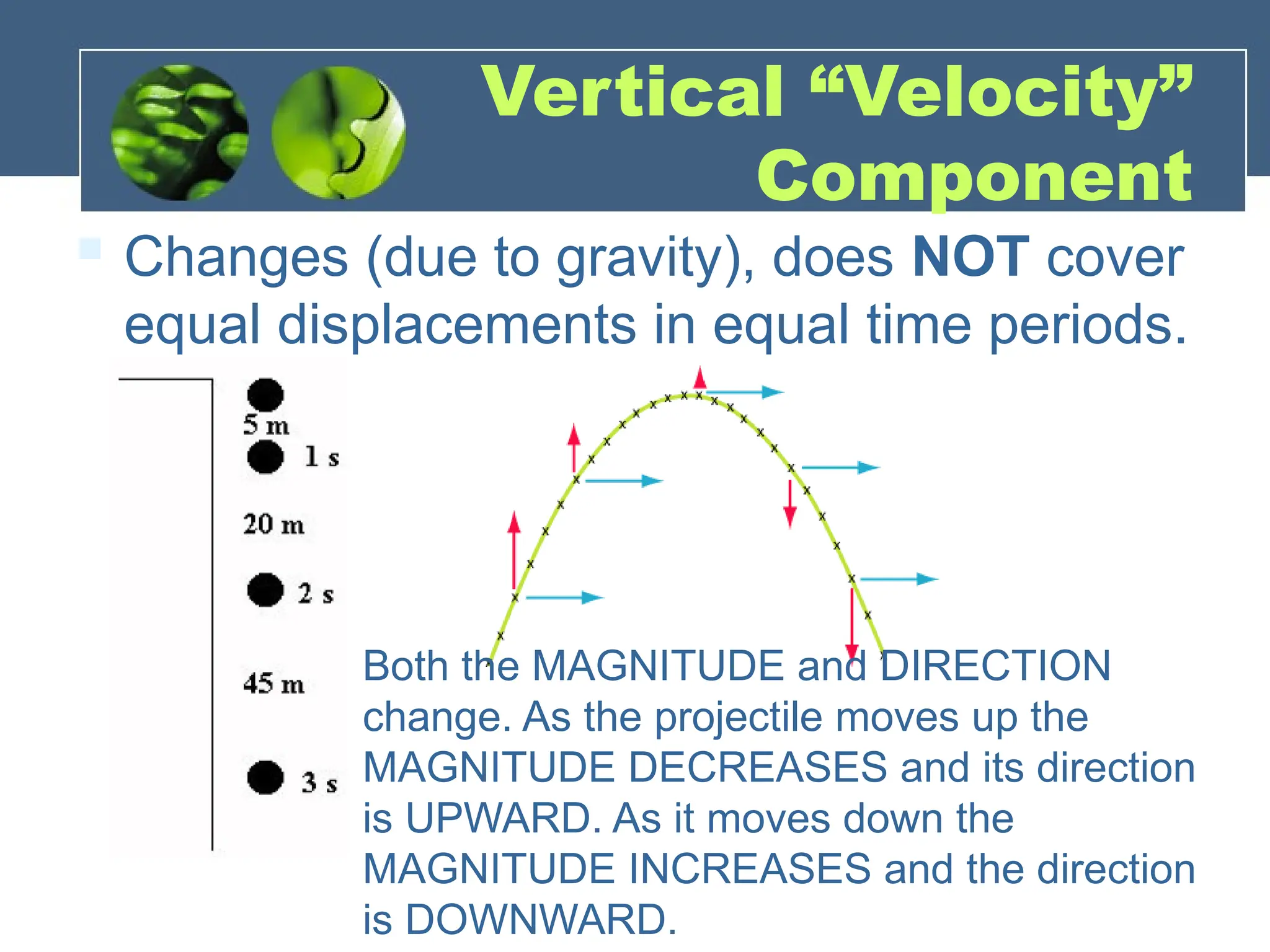 Projectile Motion Grade 9 Science - Physics 4th Quarter | PPTX