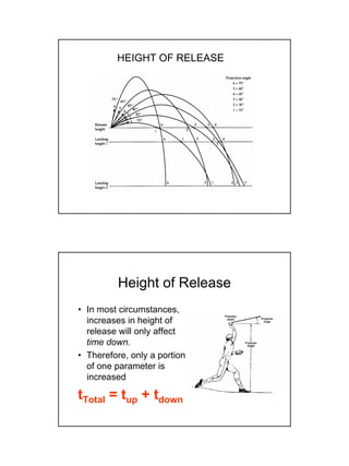 Projectile motion | PDF