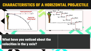 Projectile Motion.pdf