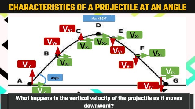 Projectile Motion.pdf