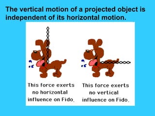 Projectile motion Grade 9 | PPT