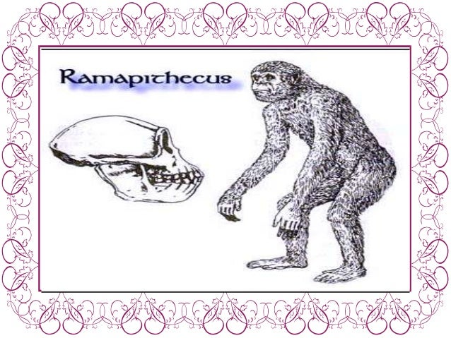 Project in araling panlipunan (1 st quarter)