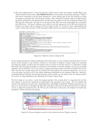 Project in malware analysis:C2C | PDF