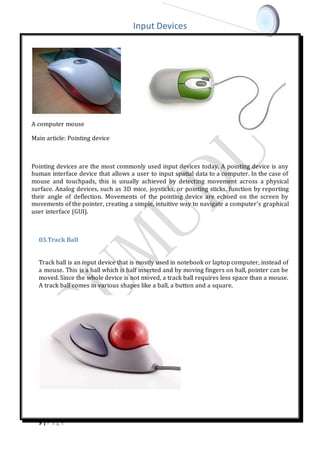 Project input devices | DOCX