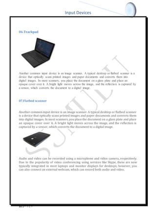 Project input devices | DOCX