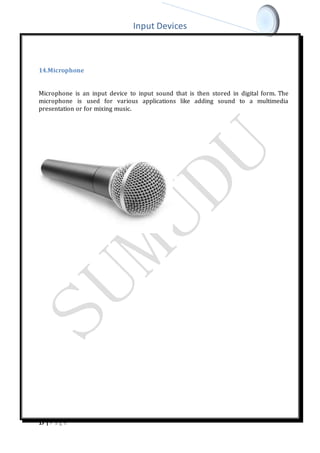 Project input devices | DOCX