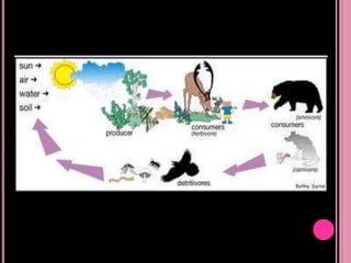 chmsc lab. school science 6- consumers | PPTX