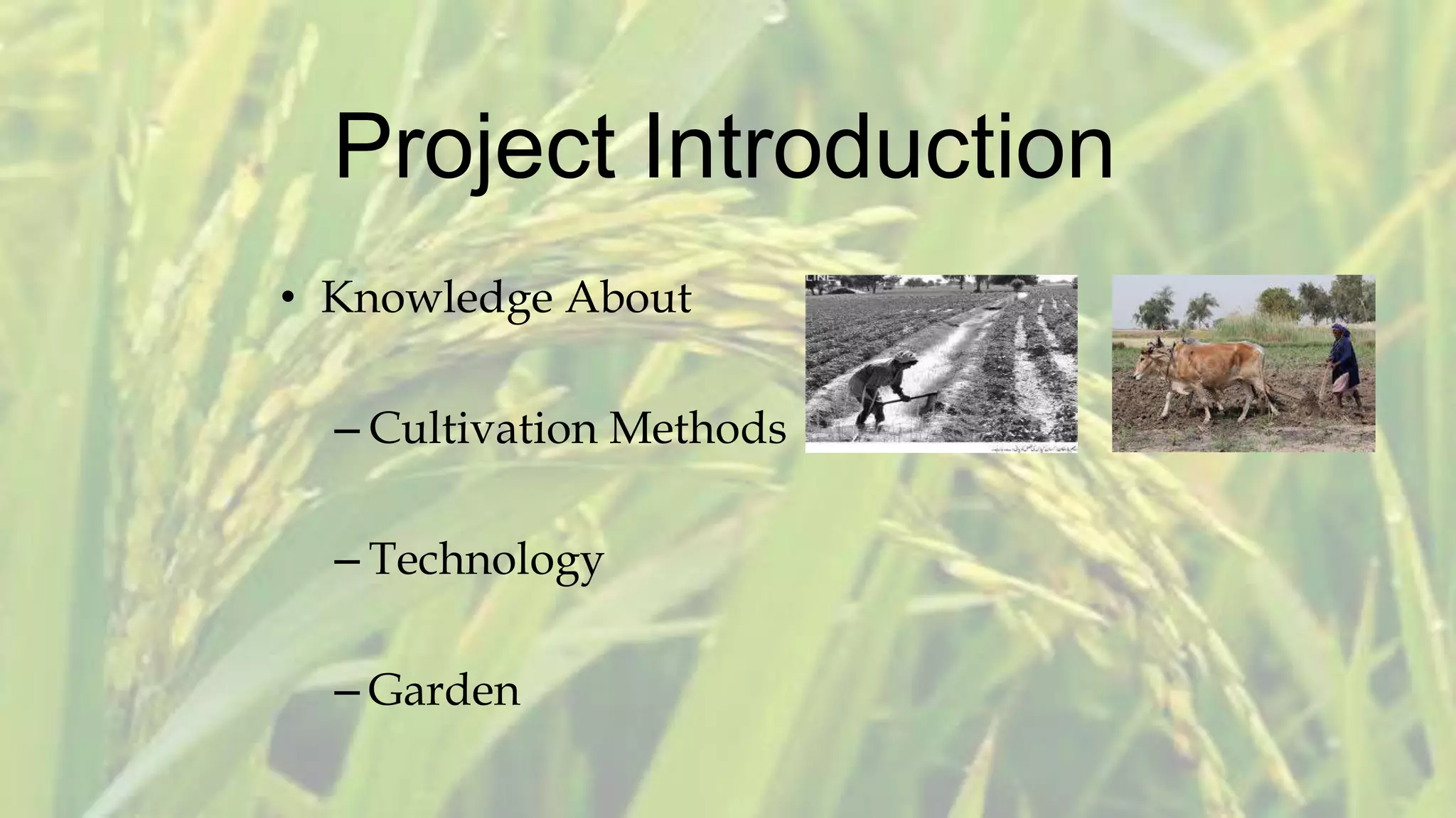 Agriculture Information System (AIS) | PPTX