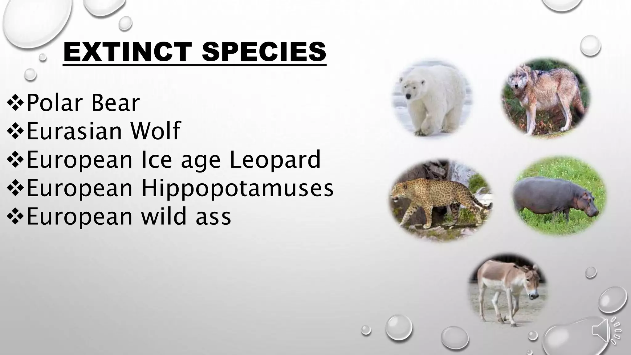 Project(intro to Env.science) | PPT