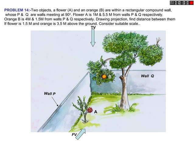 Projection of lines with problems | PPS