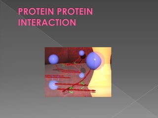 Protein protein interaction basic | PPT
