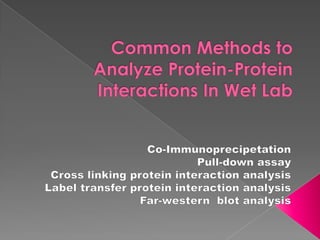 Protein protein interaction basic | PPTX