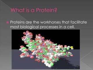 Protein protein interaction basic | PPT