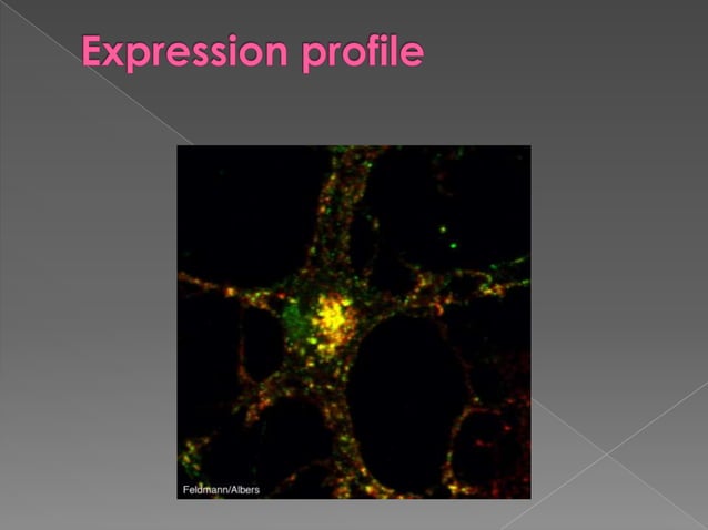 Protein protein interaction basic | PPT