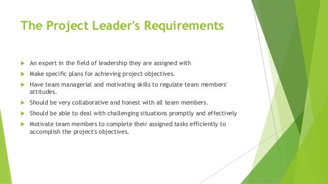 Project Leader Roles and Responsibilities in Project Management.pdf ...