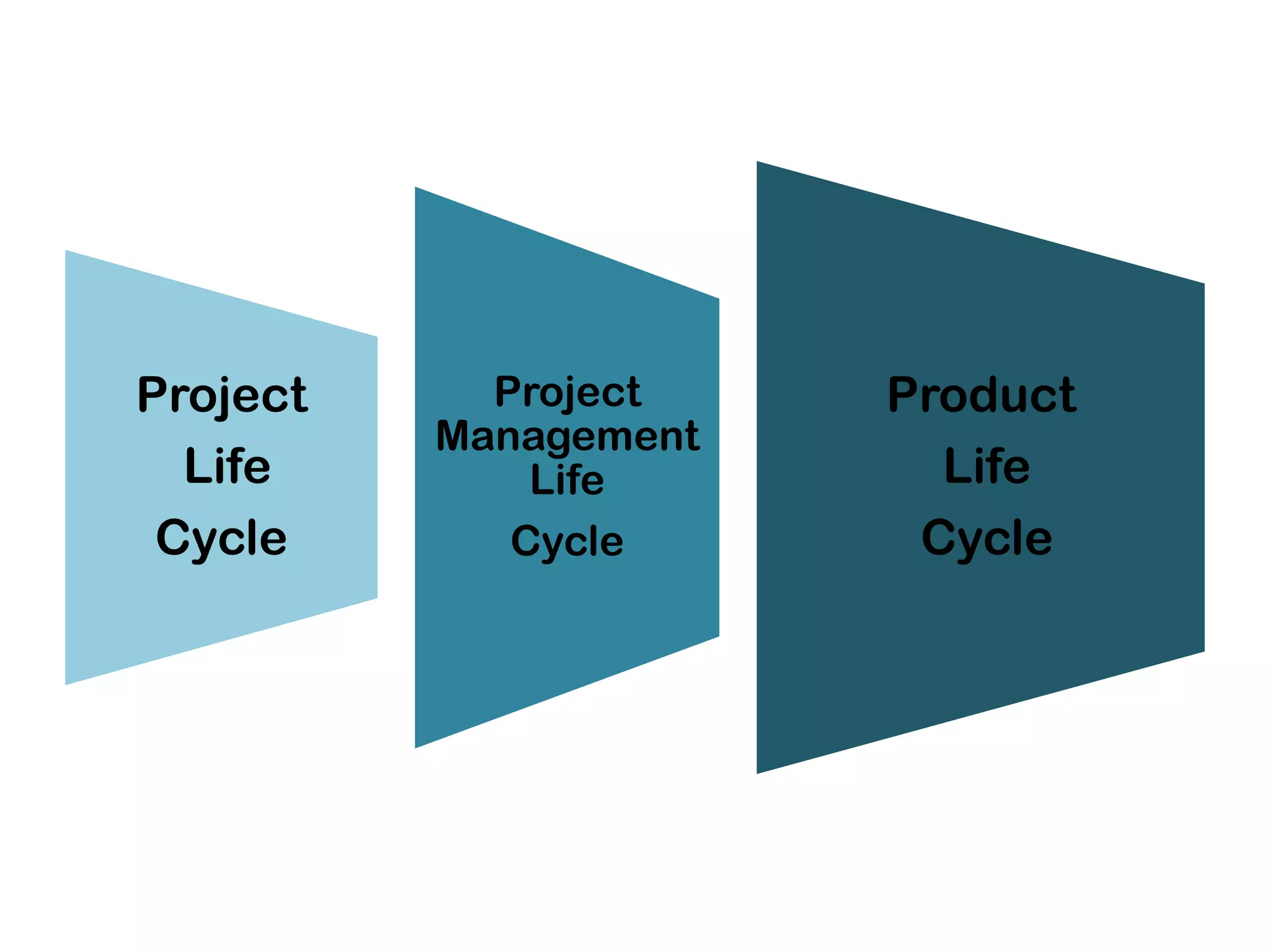 Project life cycle | PPTX