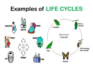 Project life cycle | PPTX
