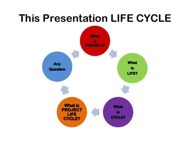 Project life cycle