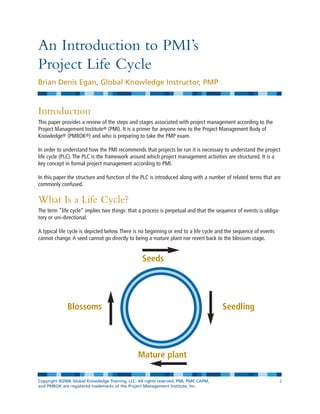 Project life cycle | PDF