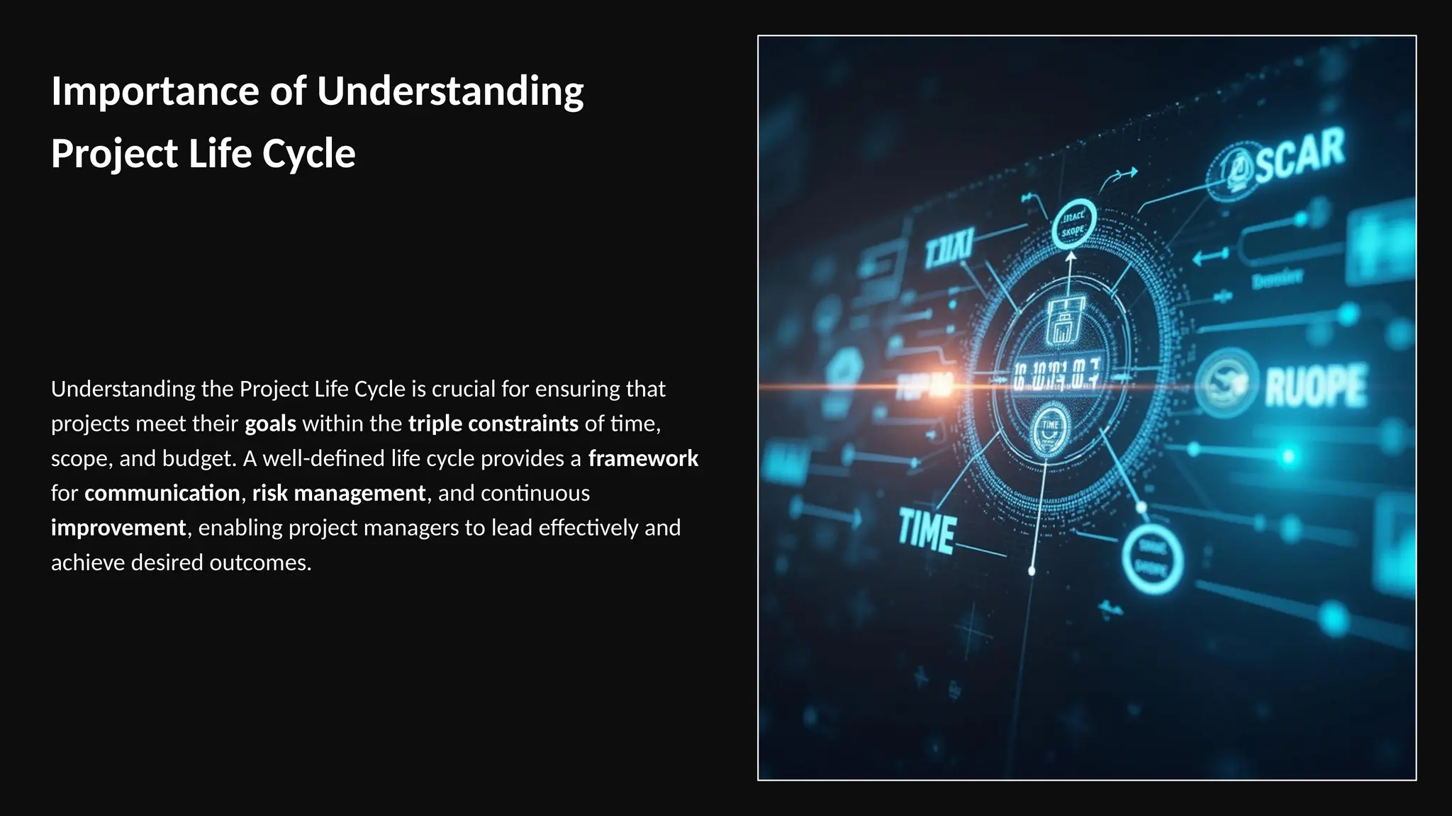Project Life Cycle management slide.pptx