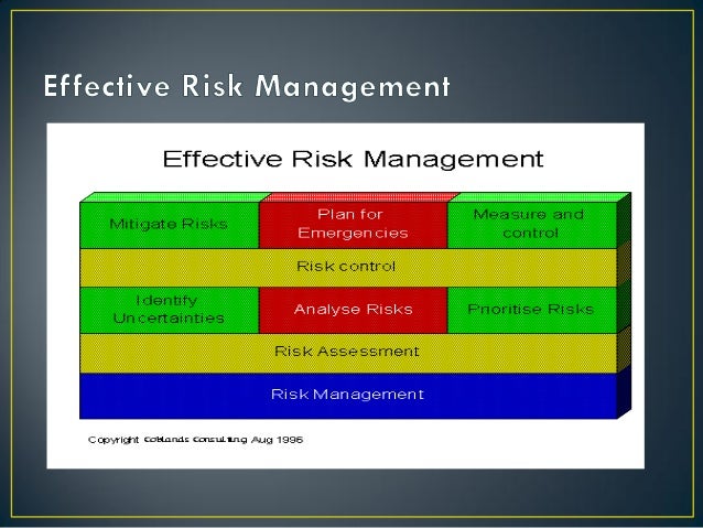 Project Life Cycle and Phases