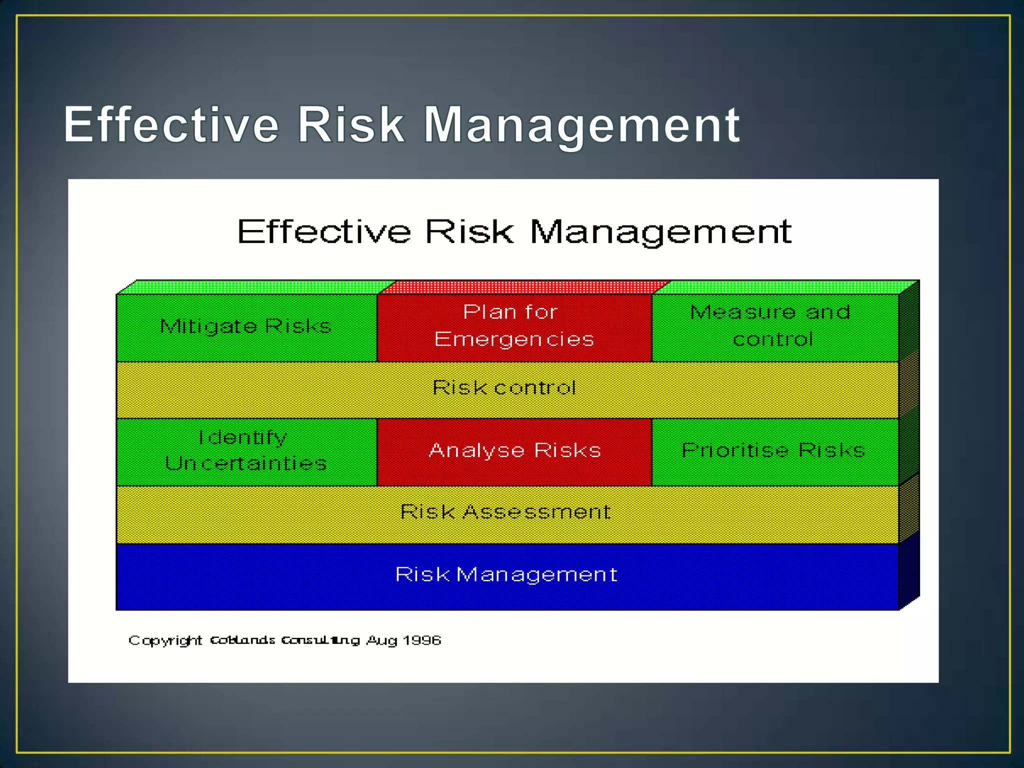 Project Life Cycle and Phases with Risk Management discussion | PPTX