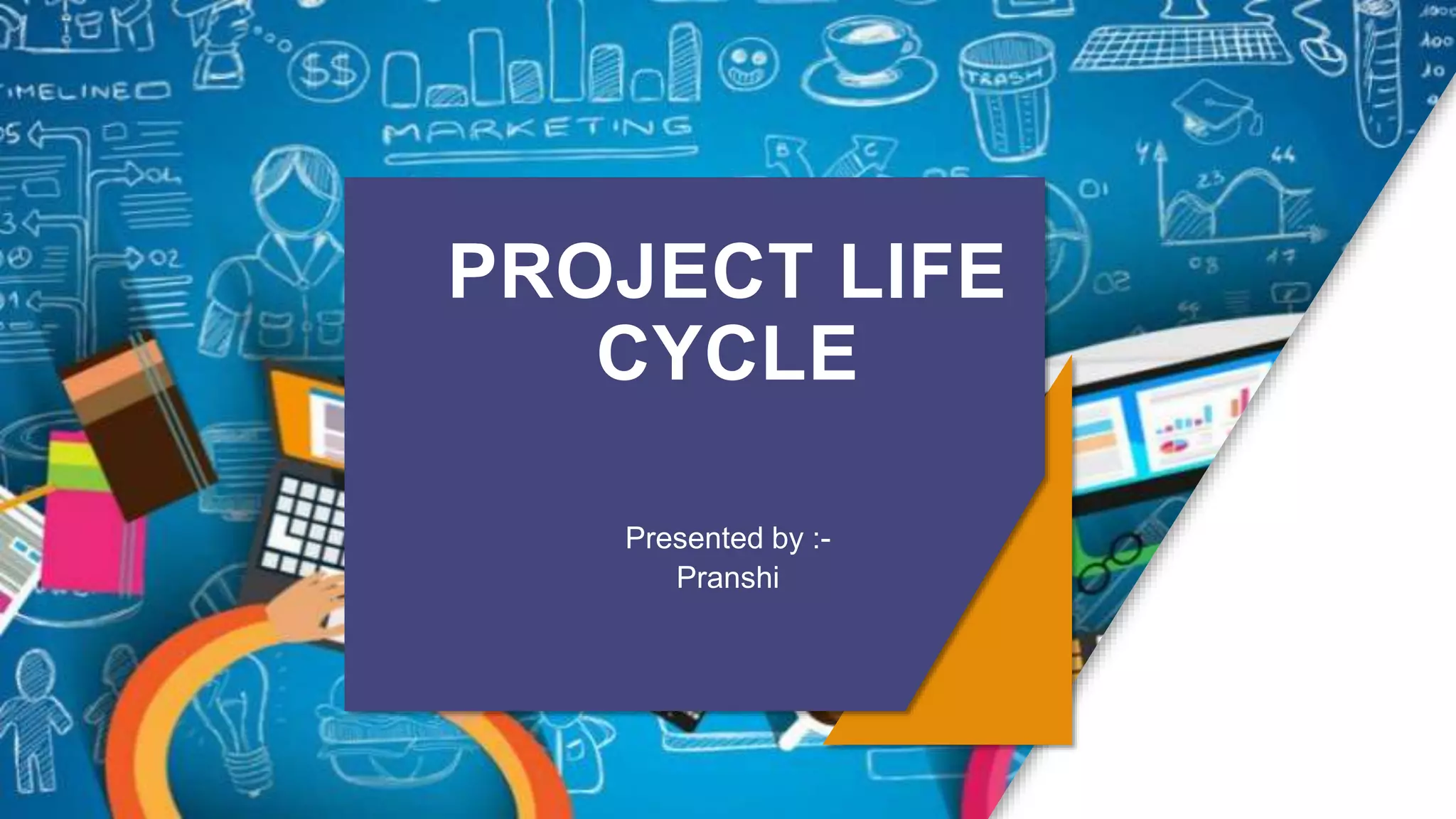 Project Life Cycle final.pptx | Civil Engineering Industry | Industries