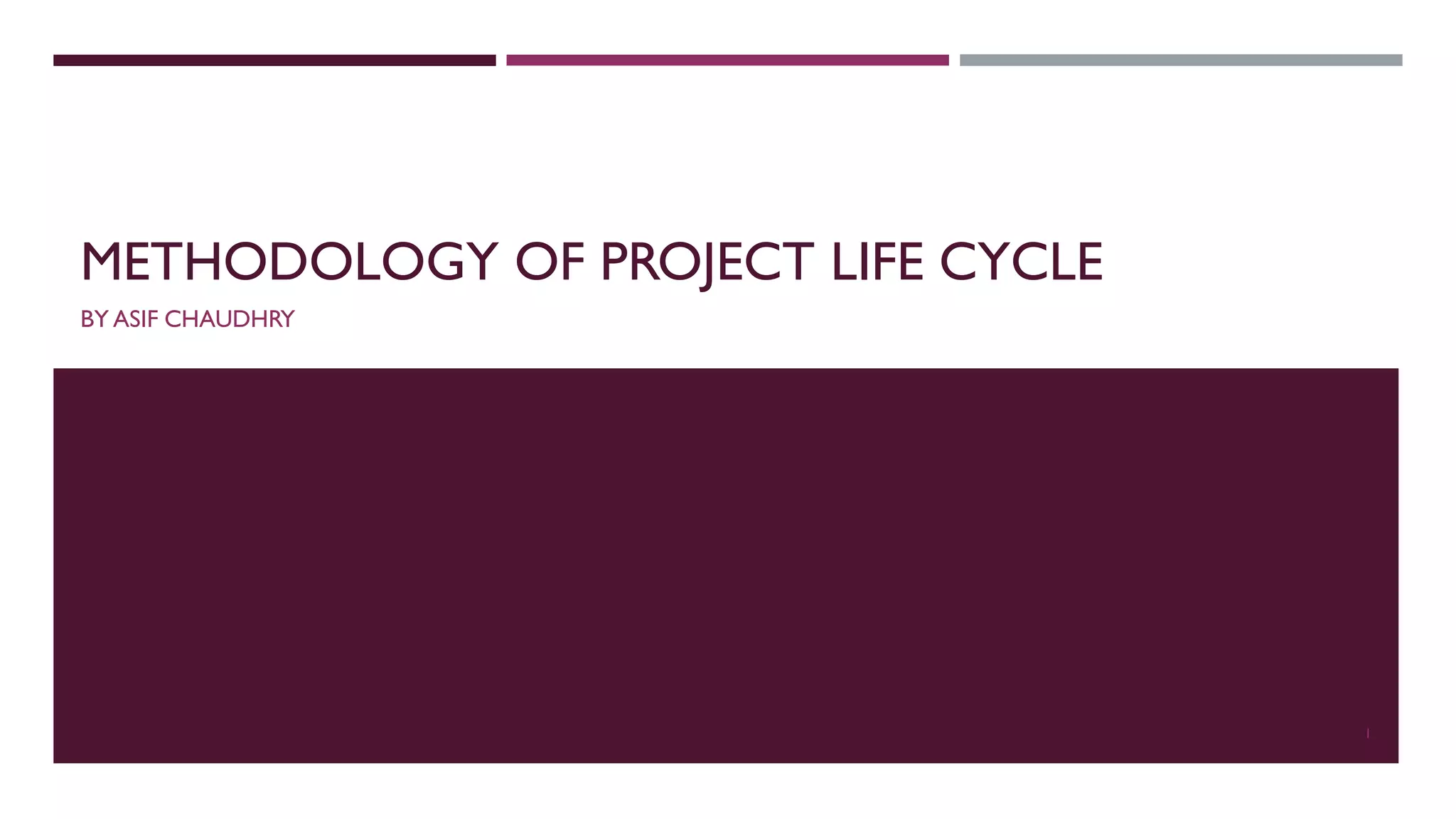 Project/ Business life cycle methodology | PPT