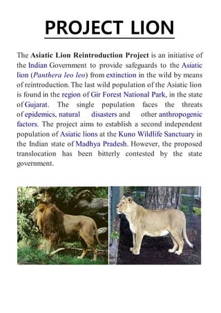 Project lion | PDF