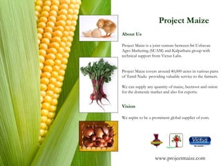 Project Maize Brochure | PDF