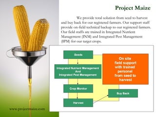 Project Maize Brochure | PDF