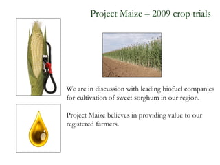 Project Maize Brochure | PDF