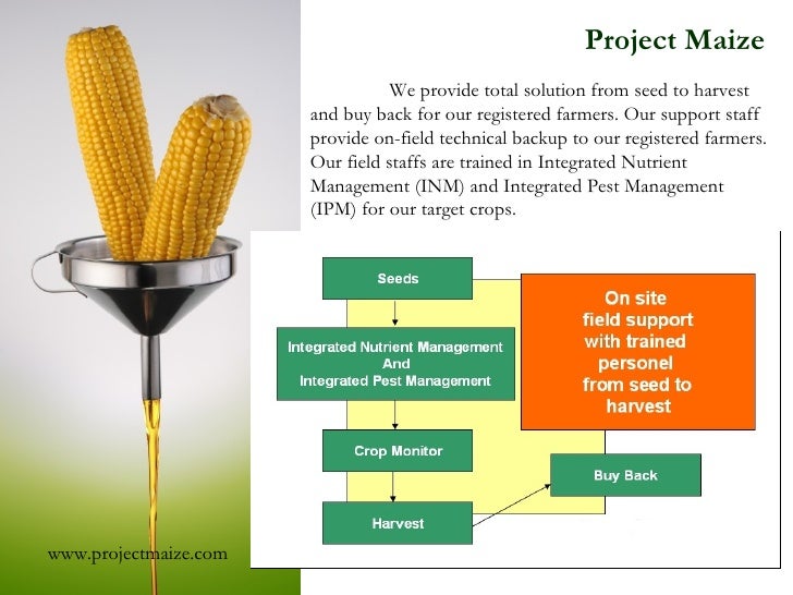 Project Maize Brochure