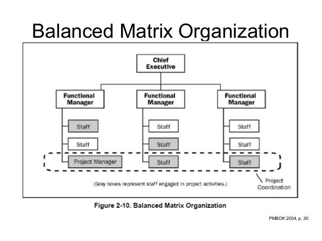 Project Management 3. e Struttura Organizzativa