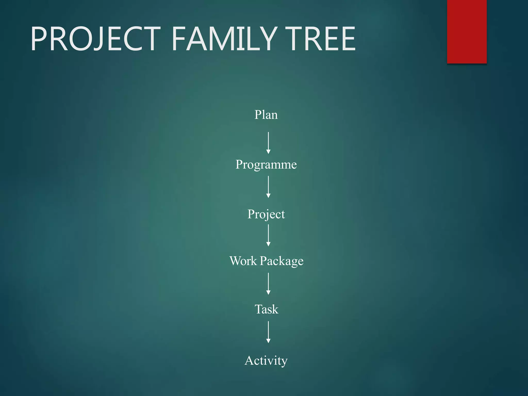 Project management PPT | PPTX