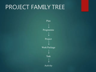 Project management PPT | PPTX