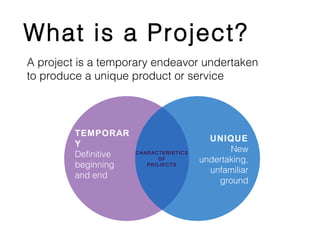 Introduction to Project Management | PDF