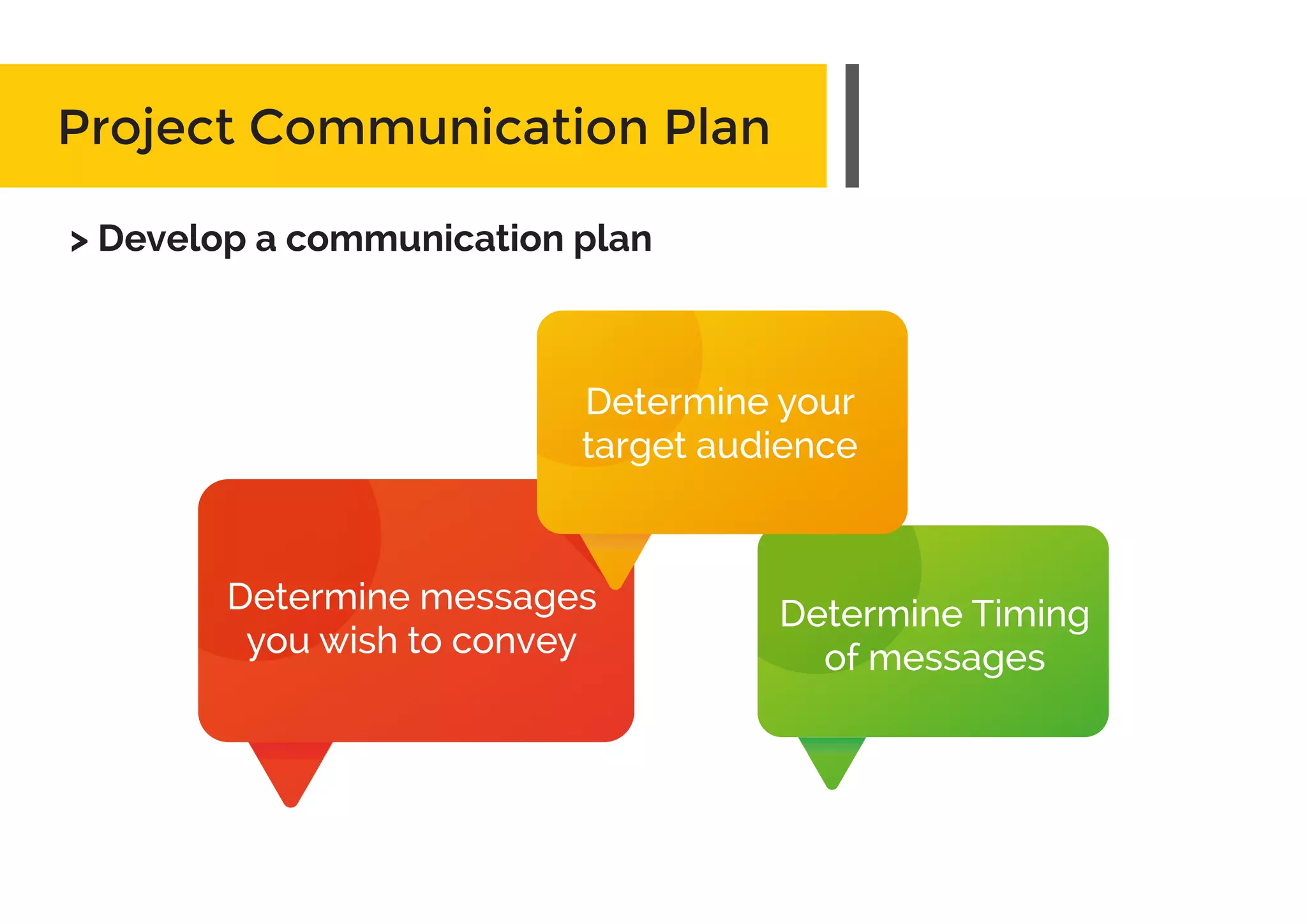 Project Management Services | PDF